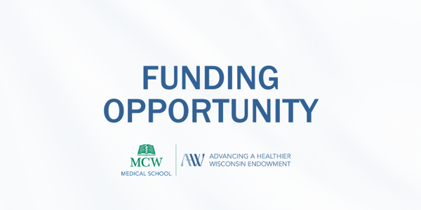 Chief Health Strategists: New DrPH program is training the next ...