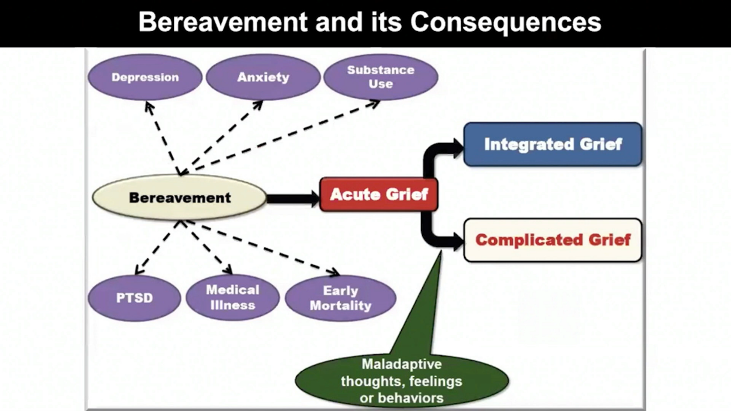 Understanding Grief: Navigating Loss and Prolonged Grief Disorder