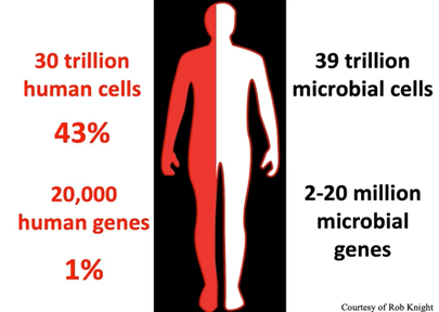 Bacteria and the Microbiome: Why Bacteria is Crucial to Our Health